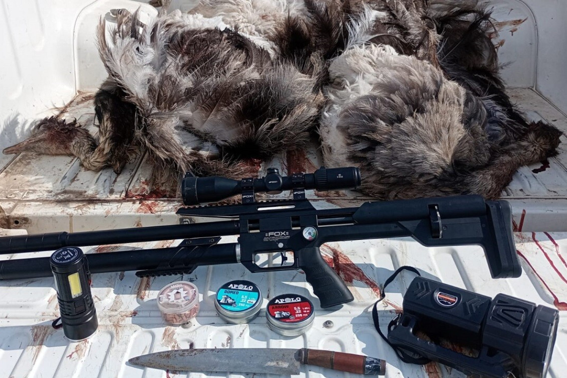 Caza ilegal: Tres hombres detenidos por matar ejemplares de ñandú