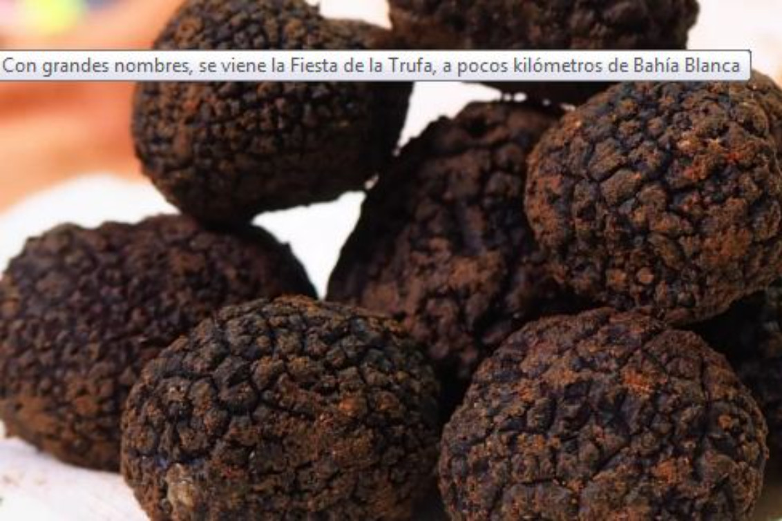 Se viene la Fiesta de la Trufa