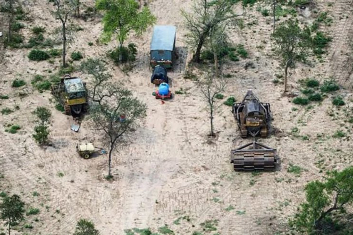 Greenpeace denunció que en 2023 aumentaron los desmontes en el norte ... Greenpeace denunció que en 2023 aumentaron los desmontes en el norte ...