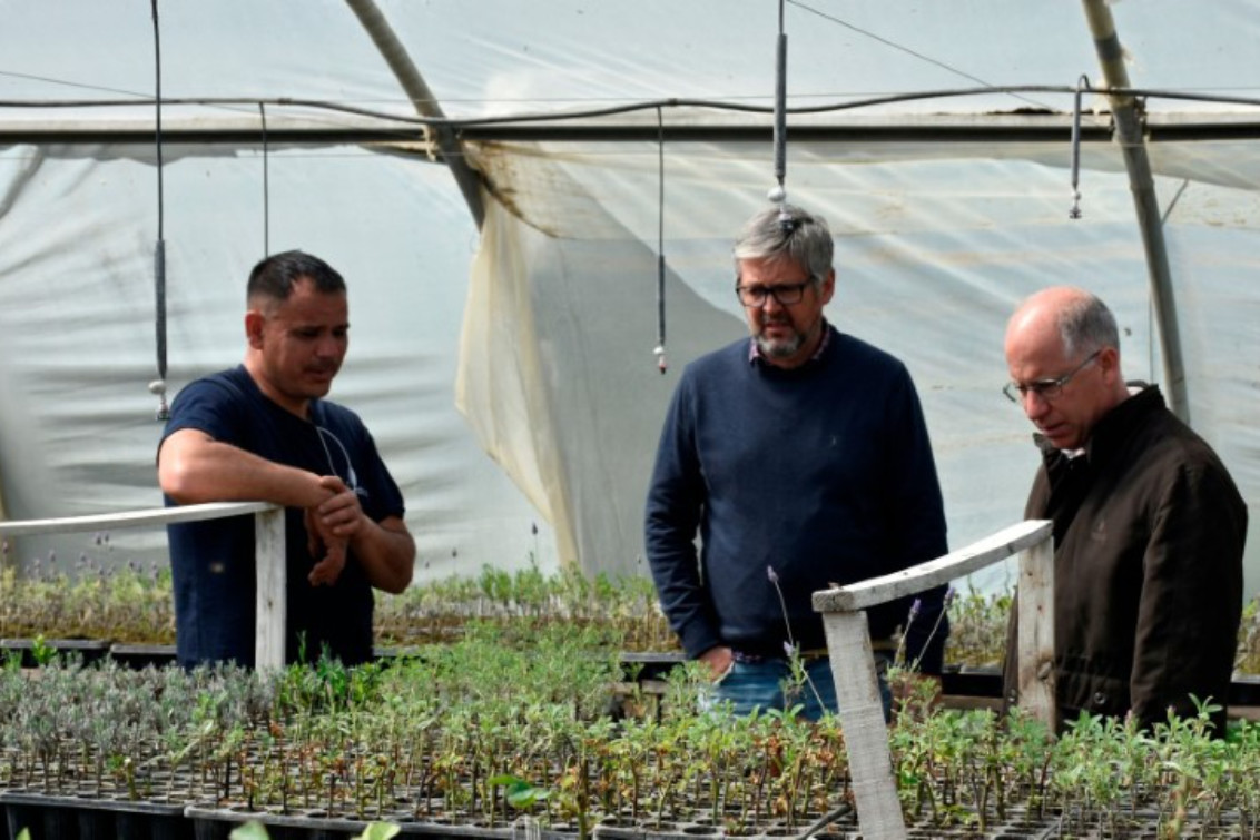 EL VIVERO MUNICIPAL “LAS ACHIRAS” SE ENCUENTRA EN UNA DESTACADA ETAPA ...