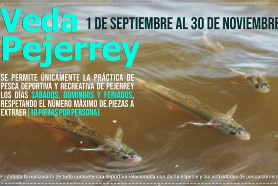Veda para la pesca de Pejerrey